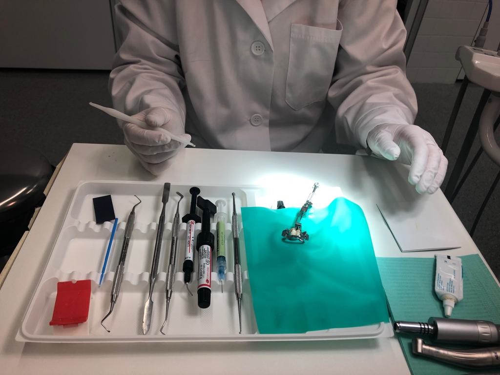 What is Oral Myiasis? - My BEST Dentists Journal - MyBestDentists