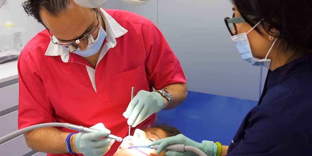 What is Oral Myiasis? - My BEST Dentists Journal - MyBestDentists